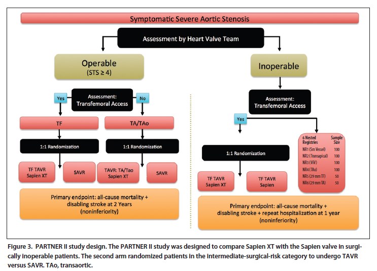 Sapien Valve: Past, Present, and Future - Cardiac Interventions Today