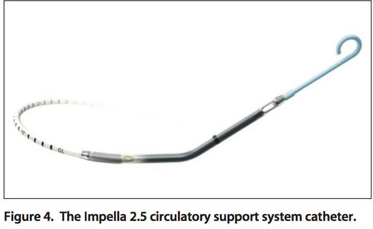 Case Report: Impella 2.5™ Supported Multivessel PCI With Left Main ...